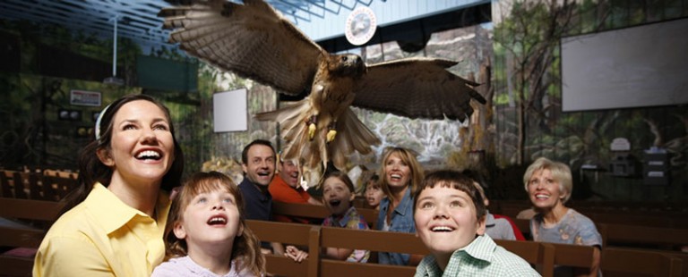 Dollywood in Pigeon Forge, TN