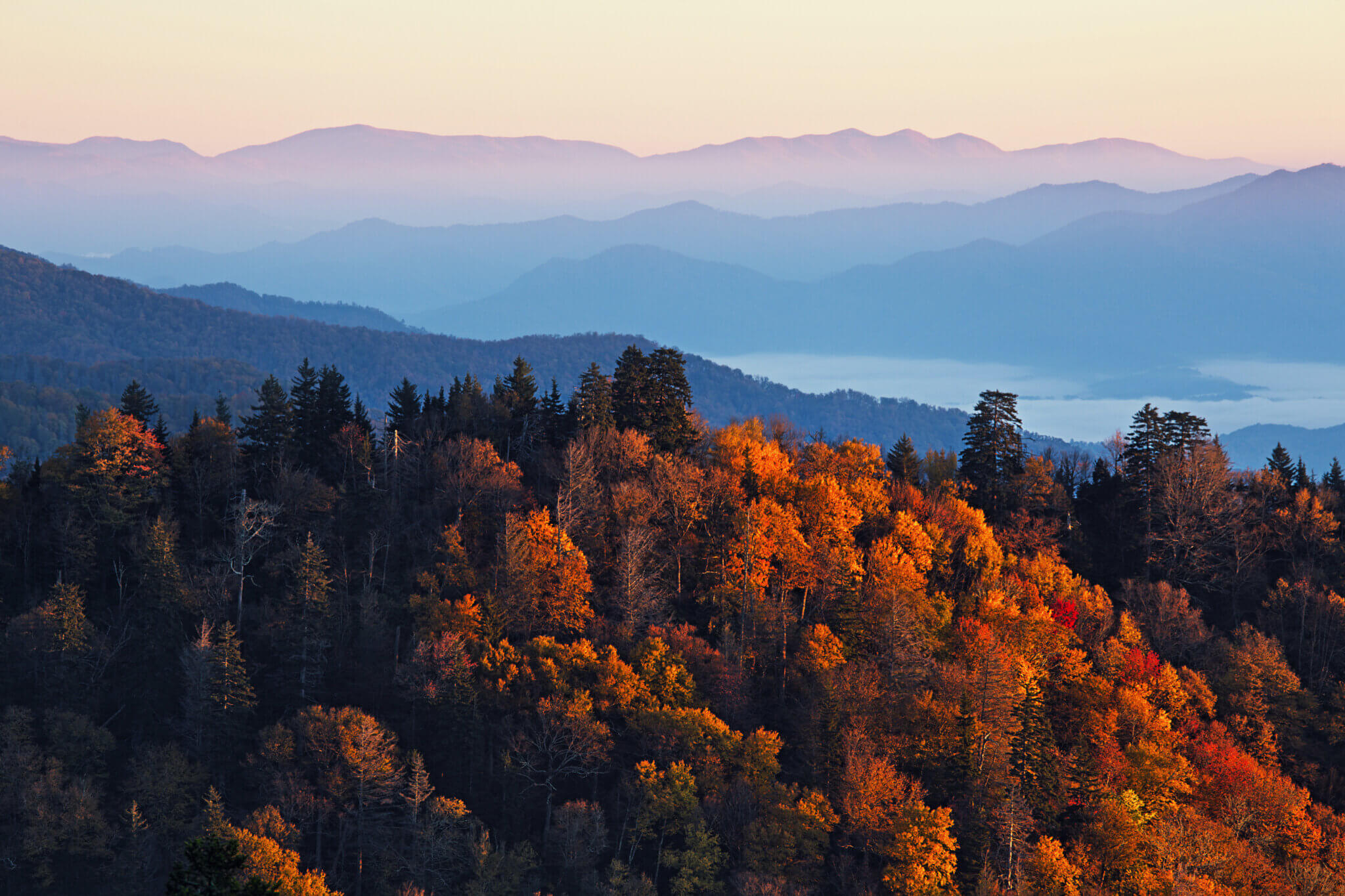 5 Surprising Facts about the Smokies