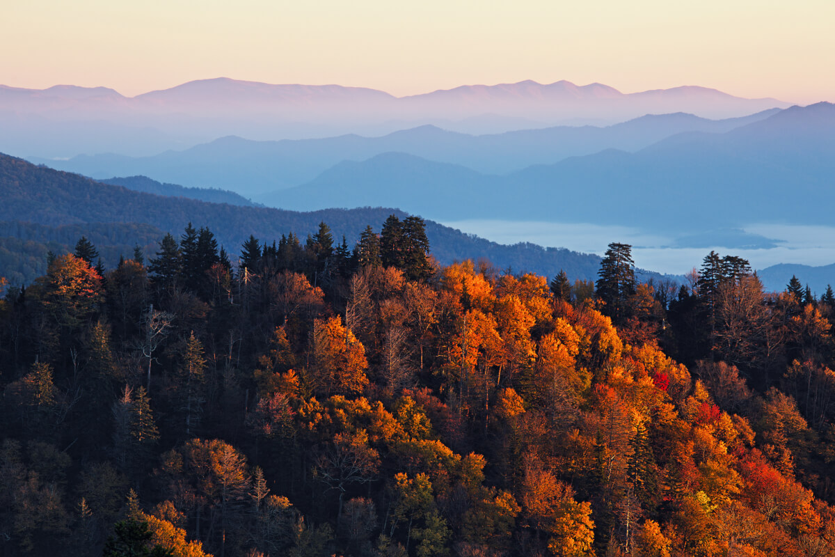 5 Surprising Facts about the Smokies