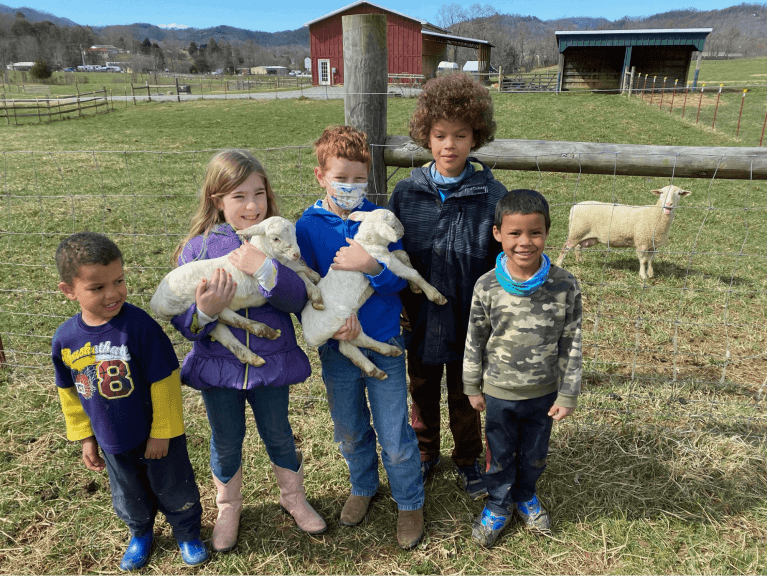 Can’t Miss Smoky Mountain Adventures - Mobile Brochure