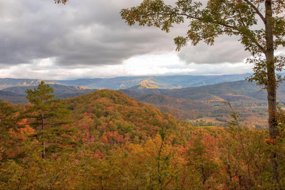 Best Season to Visit the Smoky Mountains