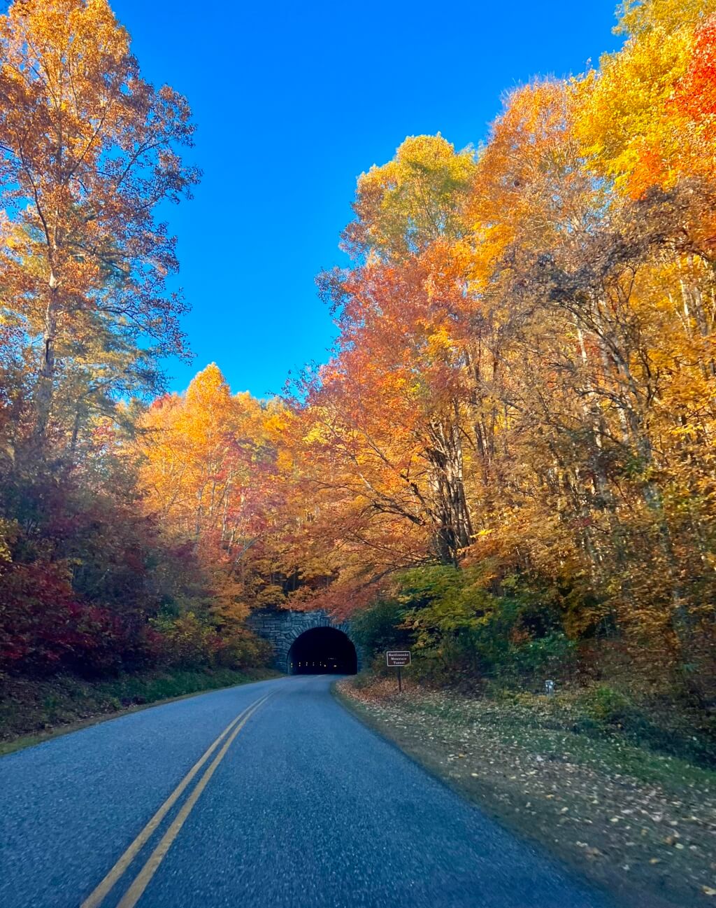 Top 8 Fall Activities in the Smoky Mountains You Can't Miss in 2025 - MobileBrochure - Smoky ...